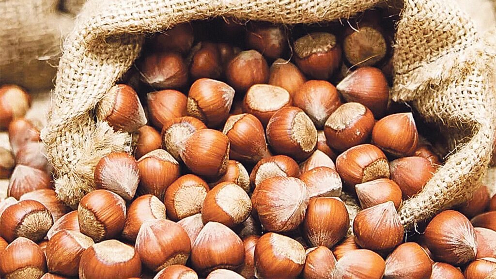 Fındık Üretimi, Fındık Fiyatları ve Ekonomik Etkileri: Türkiye'de ...